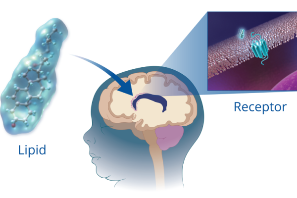 Basic Science Research | Duke University School of Medicine