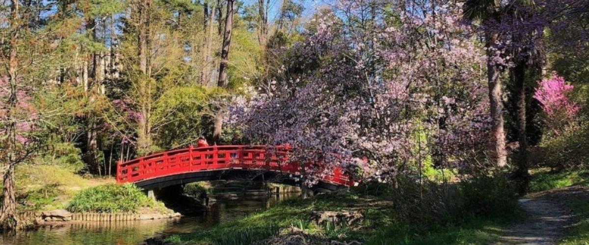 Living in Durham & Research Triangle Park | Duke University School of ...