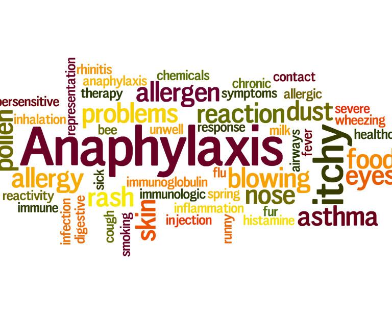 Key Role Identified for Nervous System in Severe Allergic Shock | Duke ...