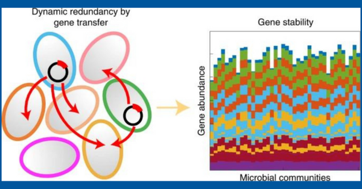 Microbial Job Stability | Duke University School of Medicine