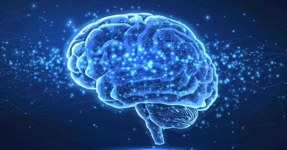 Neuro-Immune Link Could Shape Brain Development, Study Finds | Duke University School of Medicine